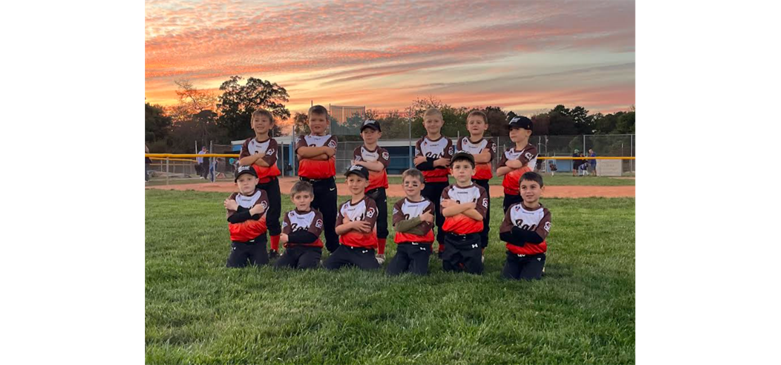 Toms River East Little League Baseball > Home